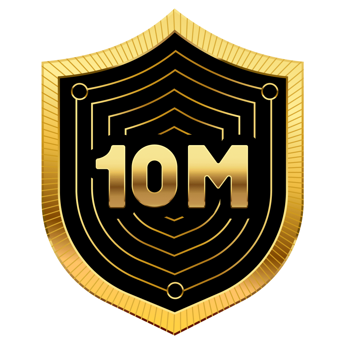 Polishing package - Comity Shop